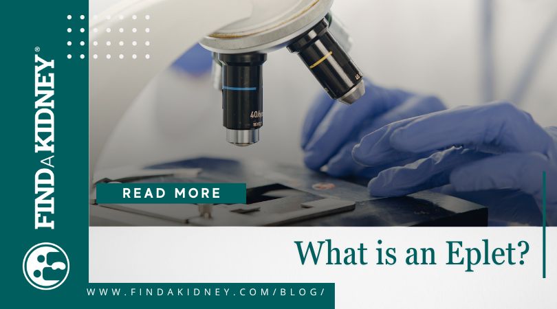 What Are Eplets in Kidney Transplants? How Eplet Matching Can Help You ...